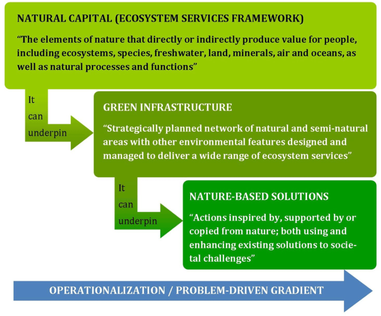 Inspiration from nature-based solutions on study visits for developing ...
