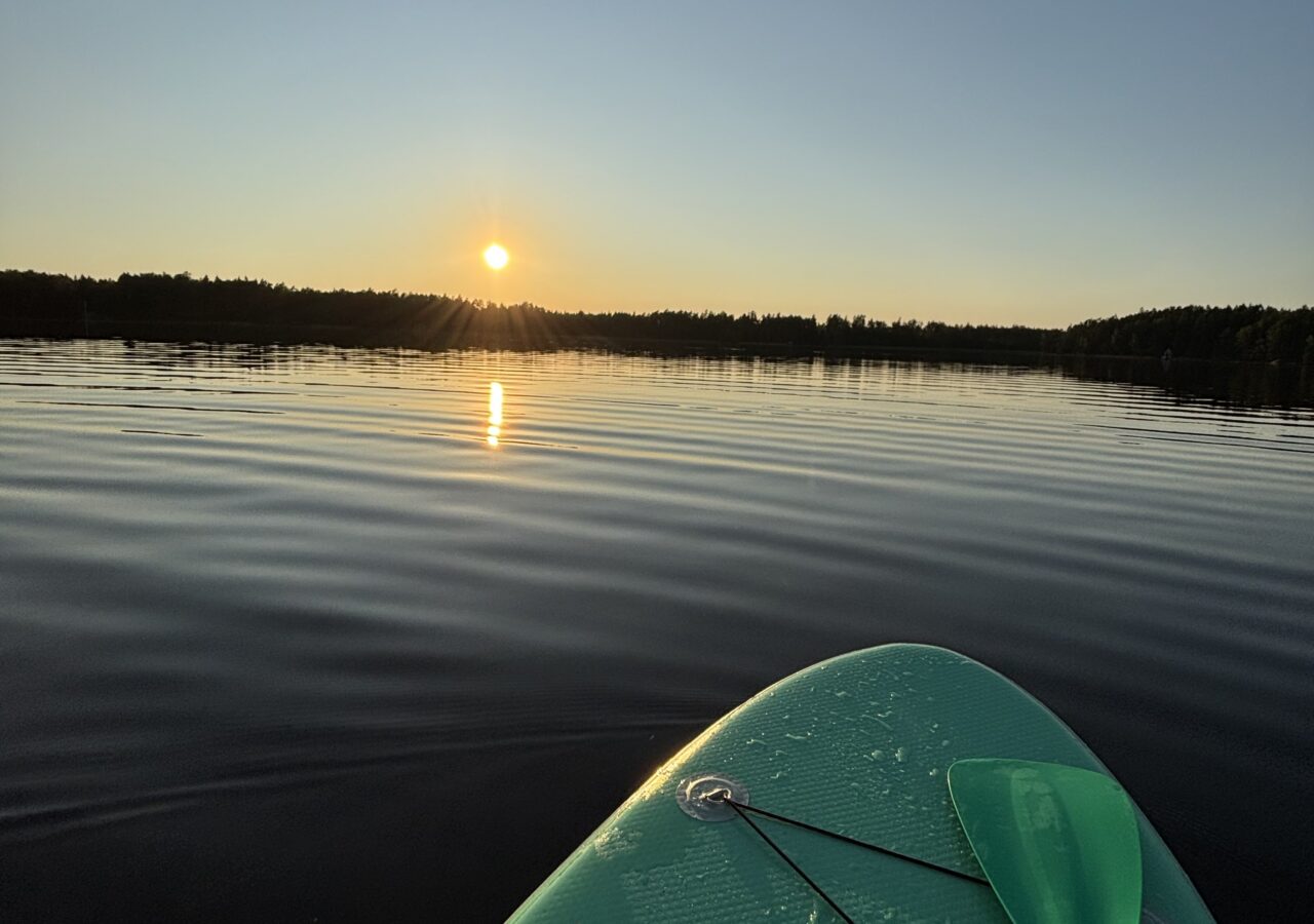 Reflektio, oppiminen ja kokemusten merkitys ammatillisessa ...